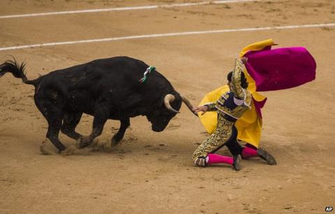 Who, What, Why: How dangerous is bullfighting? - BBC News