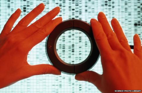 Iceland's DNA: The world's most precious genes? - BBC News