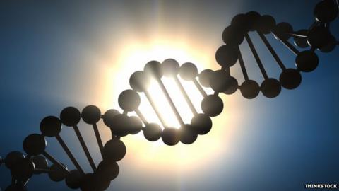 DNA project 'to make UK world genetic research leader' - BBC News