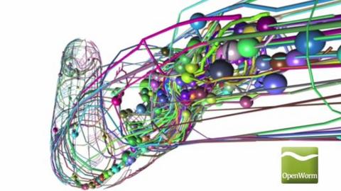 When will man become machine? - BBC News