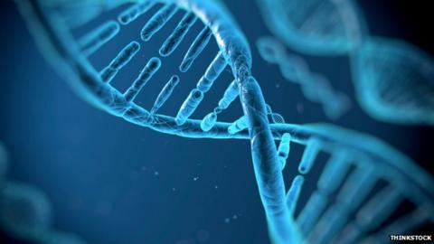 New hope for rape kit testing advocates - BBC News