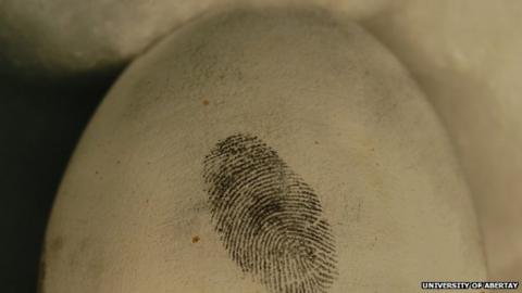 Fingerprints 'breakthrough' for wildlife crime investigators - BBC News