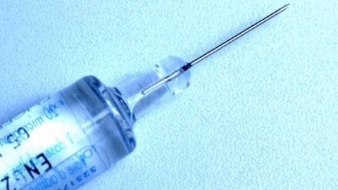 Why is steroid use rising among male bodybuilders? - BBC News