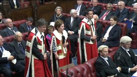 Effectiveness is key to future of Lords, says leader - BBC News