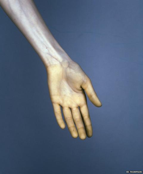 Infrared images reveal the unseen - BBC News