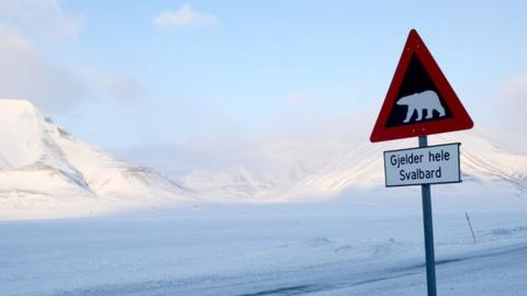 New mass extinction event identified by geologists - BBC News