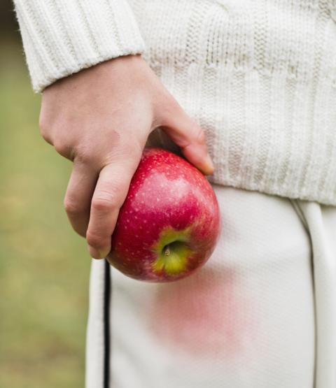 Food Photographer of the Year 2015 - BBC News