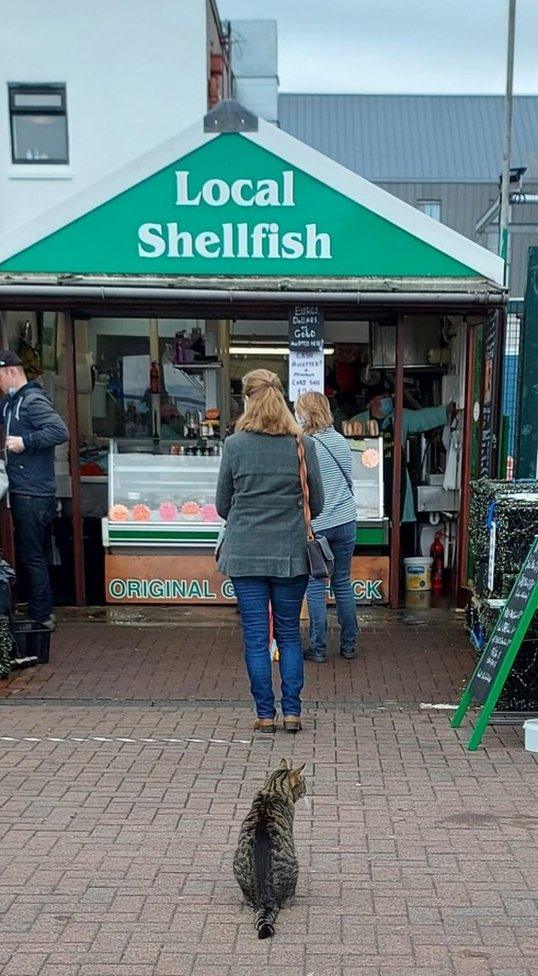 Your pictures of Scotland 4 June - 11 June - BBC News