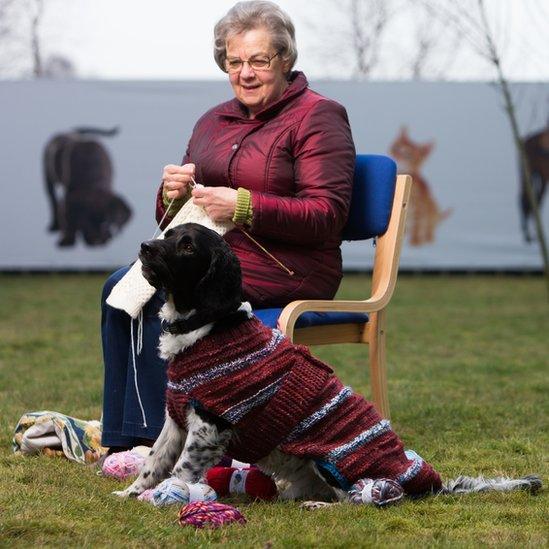 Jumpers are knitted for 'discriminated-against' unwanted dogs - BBC News
