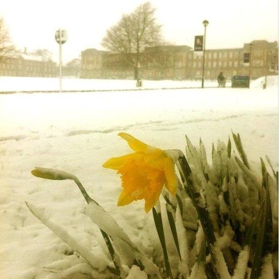Your photos of the snow - BBC Weather