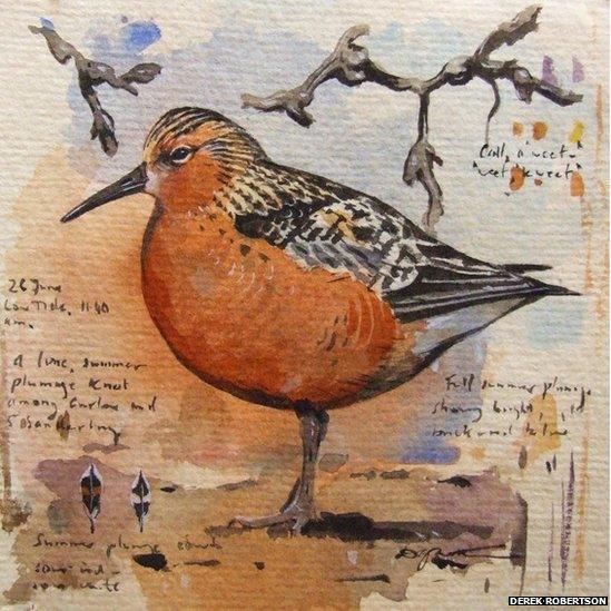 In pictures: Art showcases Fife reserve's wildlife - BBC News