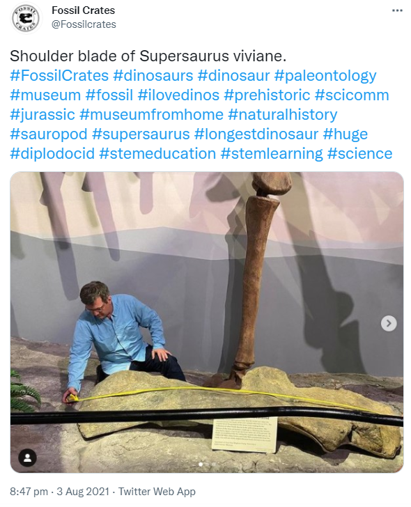 Supersaurus: Scientists discover world's ‘longest-ever’ dinosaur - BBC ...