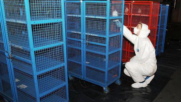 Securitas bank notes may be rotting after UK's biggest raid - police ...