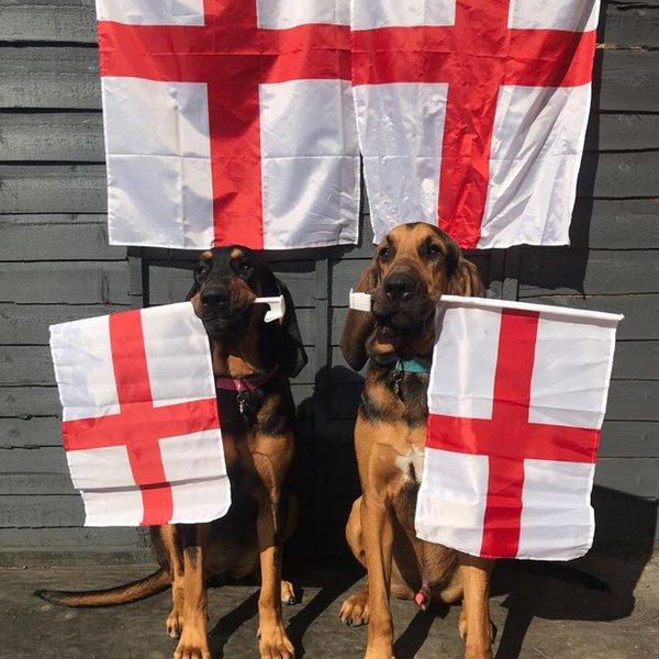 World Cup 2018 in pictures: How the nation watched England v Sweden ...
