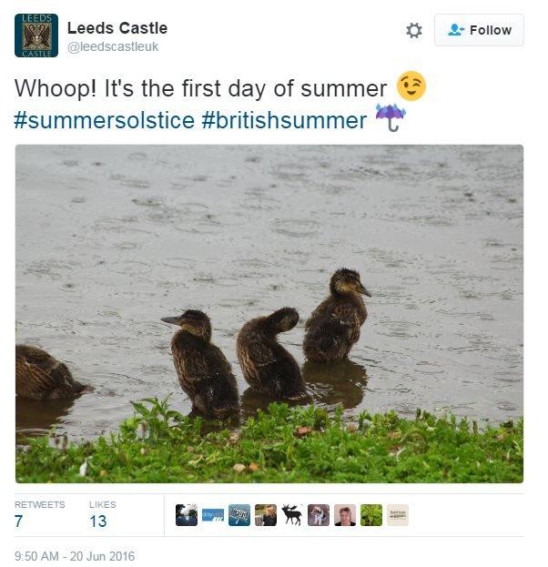 A soggy start to the summer leads to wet weather jokes online - BBC News
