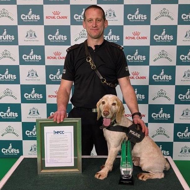 Police dog wins Crufts award for saving life of missing man - BBC News