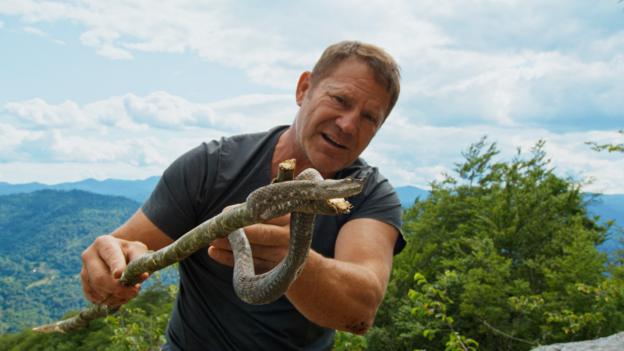 Deadly 60: Test your knowledge on Baby Dragons, Brown Bears and Snakes ...