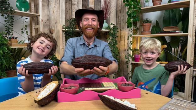 Learn easy and fun plant growing with young children - CBeebies
