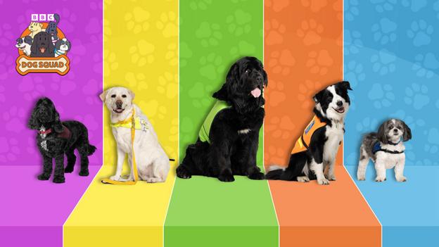 Get to know the Dog Squad - CBeebies