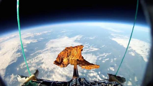 Sent into space: Guns, a lamb chop and sea urchin sperm - BBC News