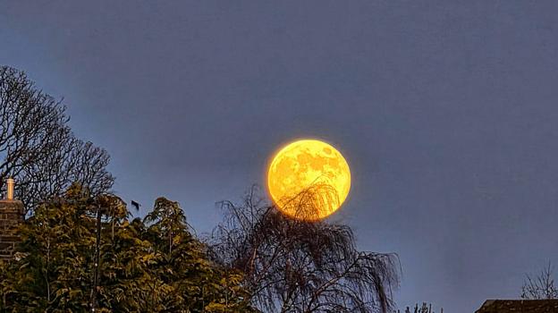 Snow Moon 2025: How and when to see the February full Moon - BBC Weather