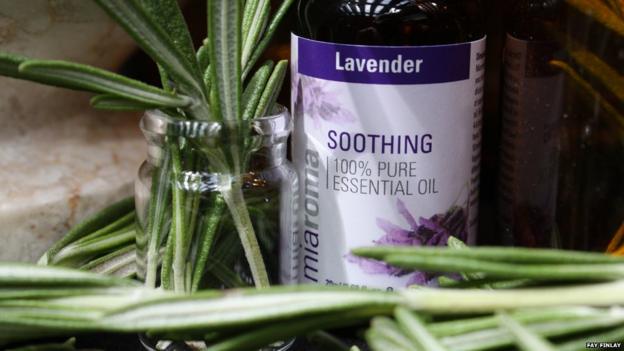 What does rosemary do to your brain? - BBC News