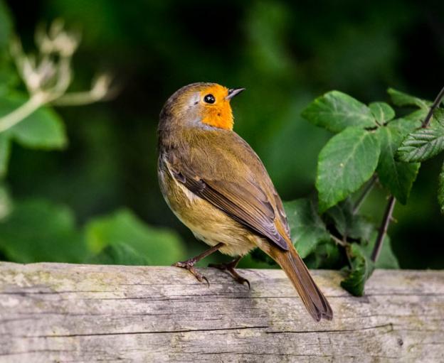 England's Big Picture: 10 - 16 October - BBC News