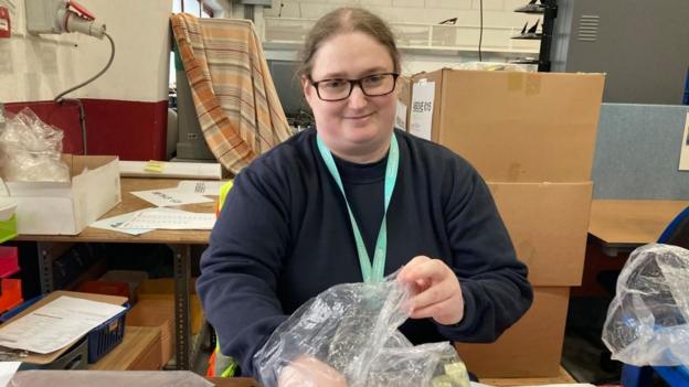 Connect to Work programme to support people to find work - BBC News
