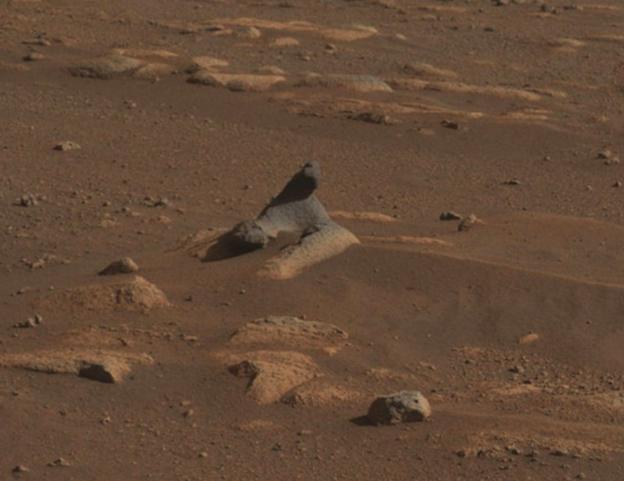 Mars: Nasa's Perseverance rover sends stunning images - BBC News