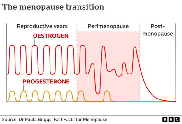 What is the menopause and what are the main symptoms? - BBC News