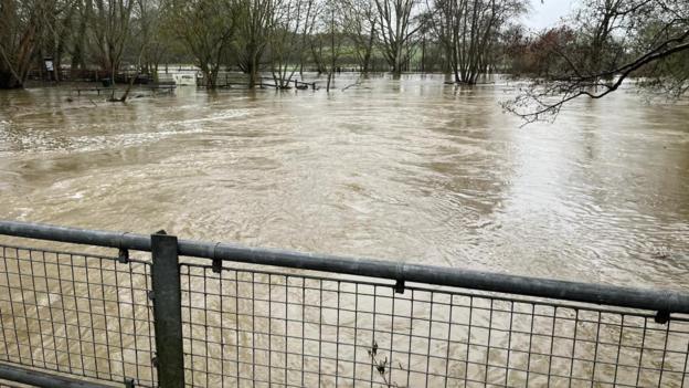 Sewage pumped into River Mole in Fetcham Splash, campaigners say - BBC News