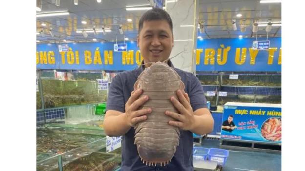 Bathynomus vaderi: Check out the huge new sea bug named after Darth ...