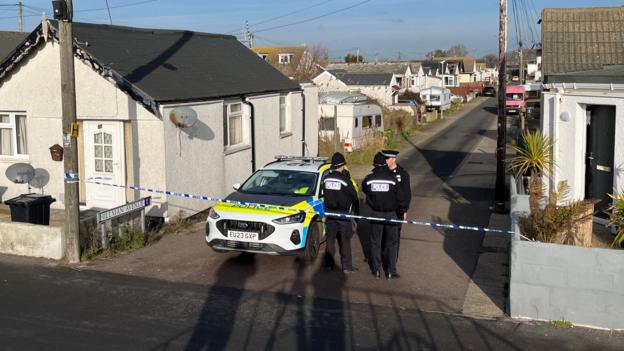 XL Bully dog attack in Jaywick killed rapper's mother-in-law - BBC News