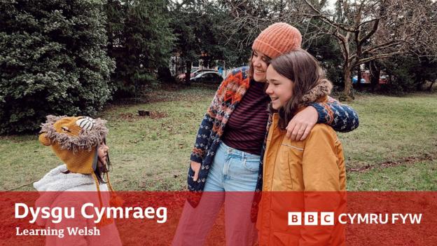 Newyddion a mwy - BBC Cymru Fyw