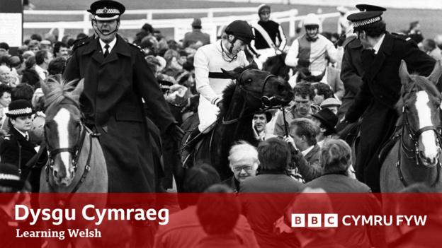 Newyddion a mwy - BBC Cymru Fyw