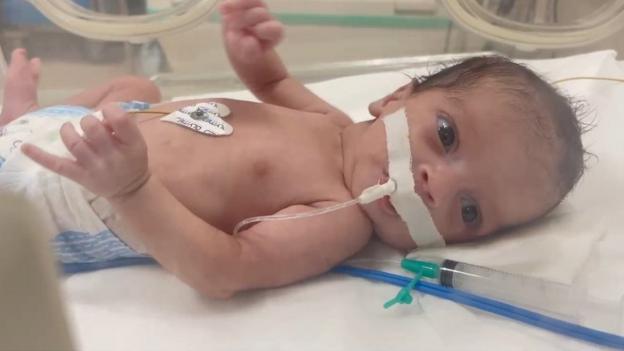 Hind Rajab, 6, found dead in Gaza days after phone calls for help - BBC ...