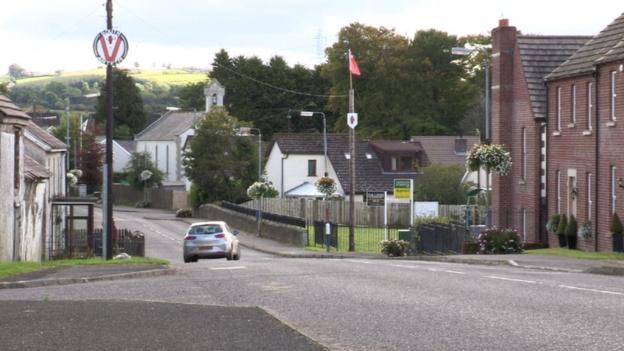 Stoneyford's natural sewage works uses plants to sort effluent - BBC News