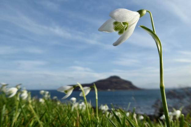 Your pictures of Scotland: 11- 18 February - BBC News