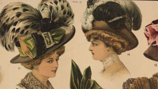 RSPB's Emily Williamson: The woman who saved a million birds - BBC News