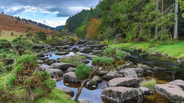 England's Big Picture: 19-25 October 2015 - BBC News