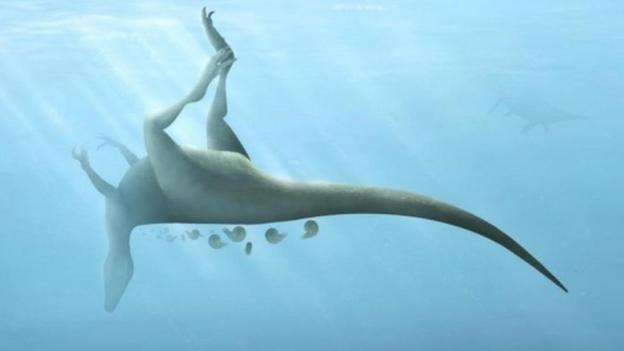 Supersaurus: Scientists discover world's ‘longest-ever’ dinosaur - BBC ...