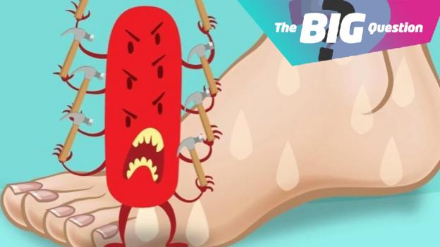 The best and worst smells in the world according to scientists - BBC ...