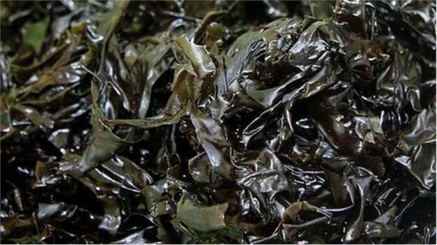 Welsh Laverbread awarded EU protected food status - BBC News