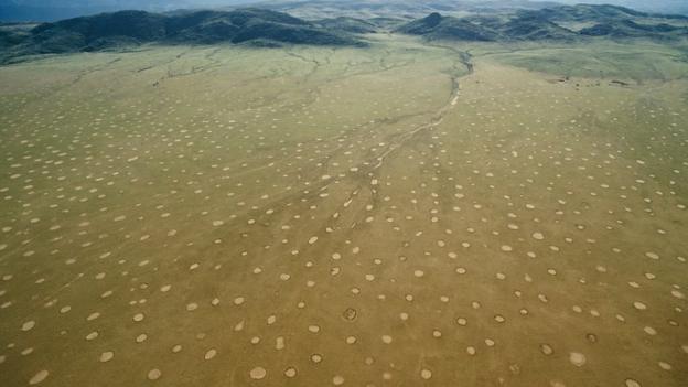 Fairy Circles: What are they and why do they form? - BBC Newsround