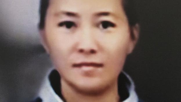 North Korean defectors: What happens when they get to the South? - BBC News