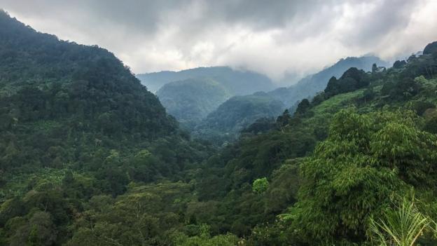 CFC ban bought us time to fight climate change, say scientists - BBC News