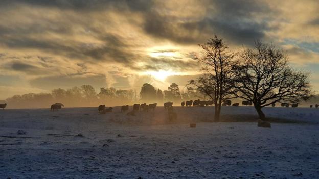 Snow in the UK: Wintry weather in pictures - BBC News