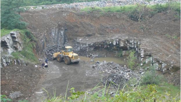 Fossil gives clues to extinction 250 million years ago - BBC News