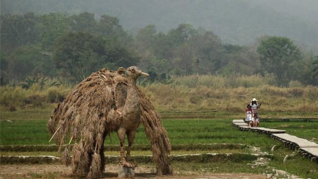 Straw sculptures: Amazing animal statues from around the world, all ...