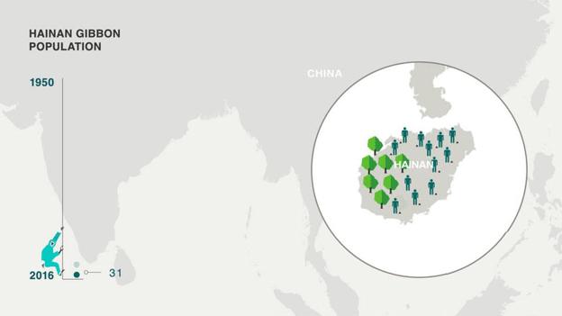 Go Figure: The week in numbers - BBC News
